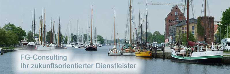 FG-Consulting